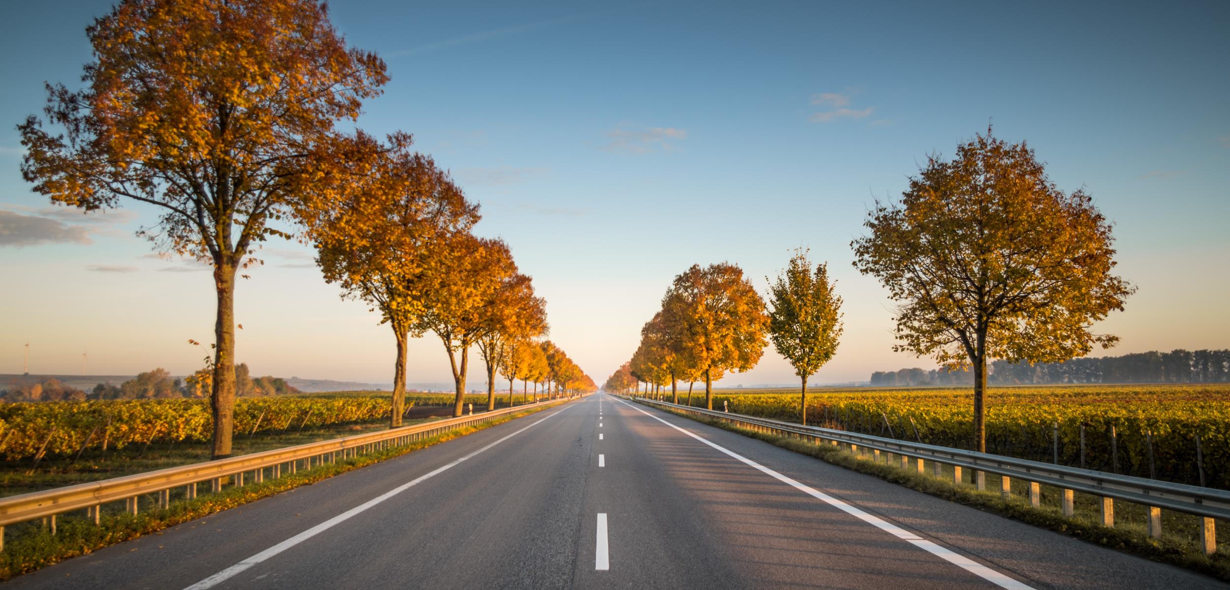 Home [www.rospaiart.ie]